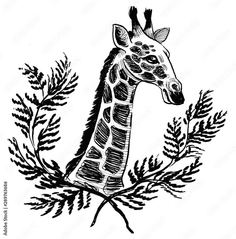 Giraffe Eating Drawing