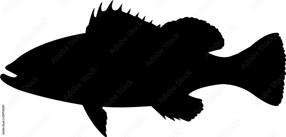 Vetor de Nassau Grouper Fish Silhouette Vector do Stock | Adobe Stock