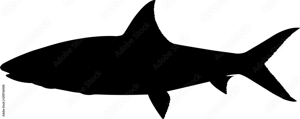 Bonefish Fish Silhouette Vector Stock Vector | Adobe Stock