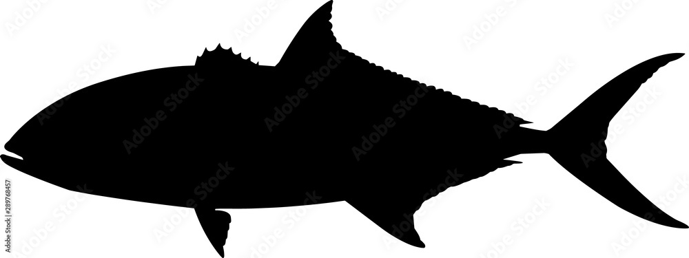 Amberjack Fish Silhouette Vector Stock Vector | Adobe Stock