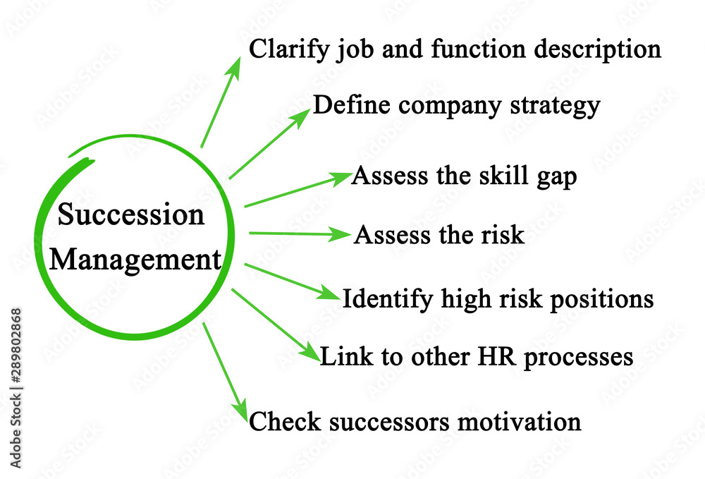 Seven Components of Succession Management. Stock Photo | Adobe Stock