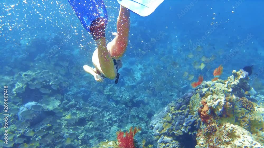 Freediving girl dives to marine sea deep, background with corals and ...