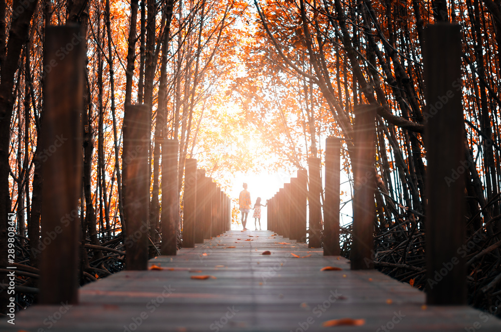 Beautiful Pathways Wallpapers