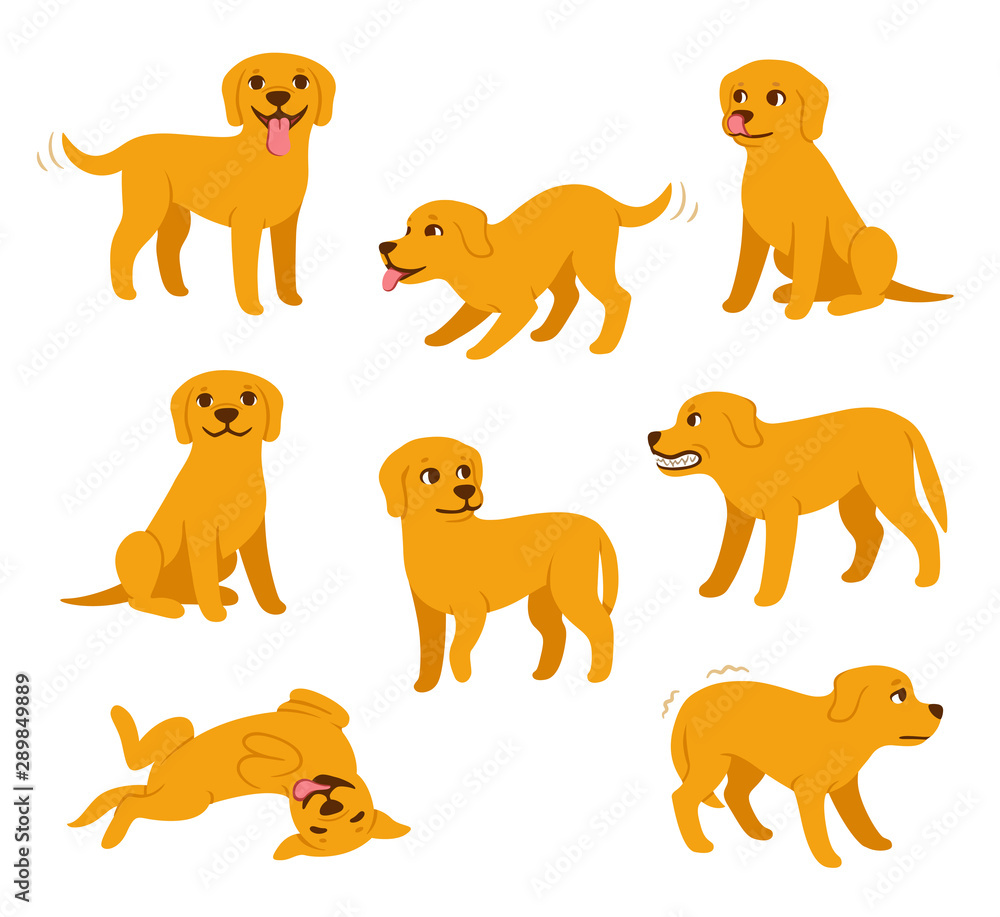 Cartoon dog poses set Stock Vector | Adobe Stock