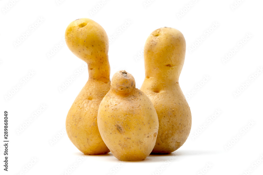 Weird shaped potatoes Stock Photo | Adobe Stock
