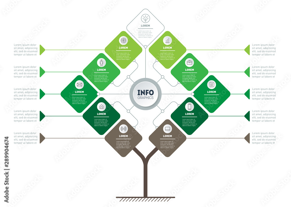 Timeline or infographics. Tree of development and growth of the eco ...