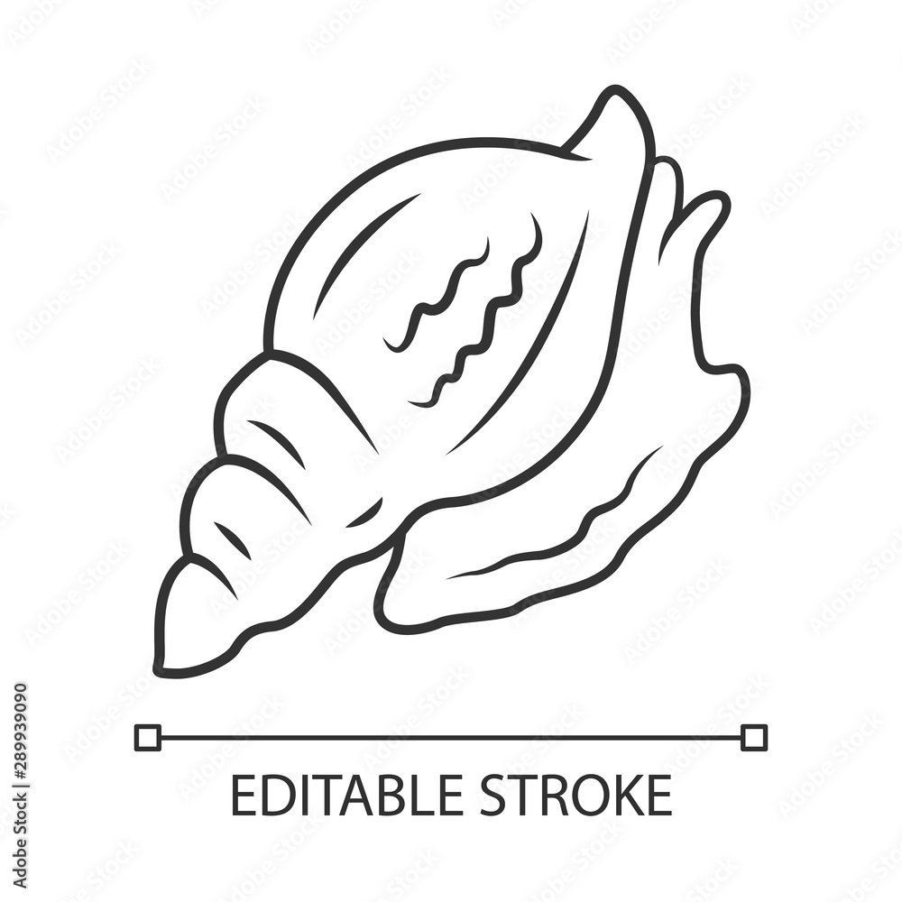 Triton linear icon. Large mollusk with spiral shell. Tropical seashell ...