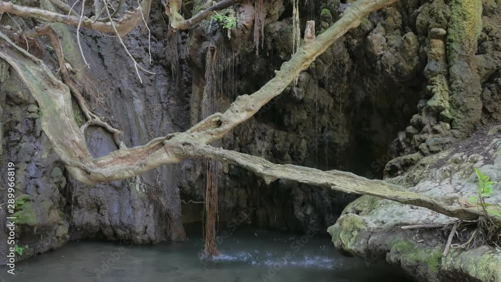 water flows are falling from rocks in baths of Aphrodite in Cyprus ...