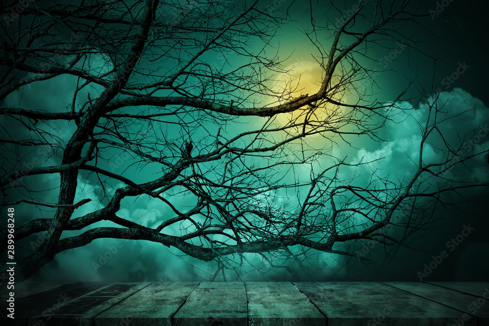 Halloween concept: Spooky forest with dead trees and wooden table, dark ...