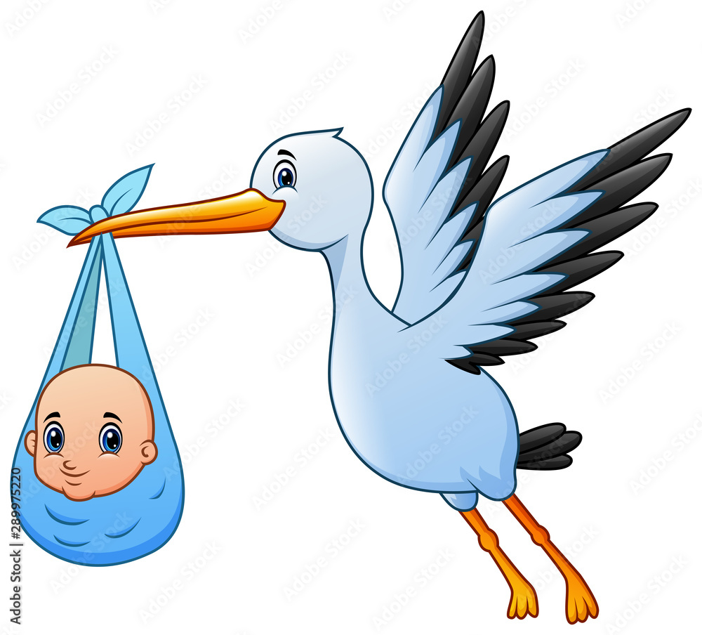 Baby Boy Cartoon Stork
