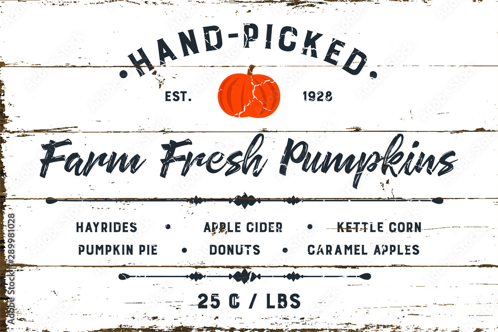 Farm Fresh Pumpkin Patch with Shiplap Design Stock Vector | Adobe Stock