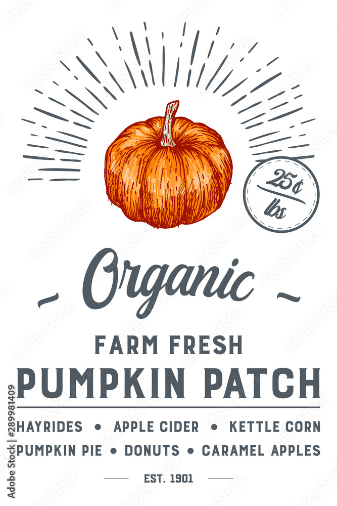 Farm Fresh Pumpkin Patch Design Stock Vector | Adobe Stock