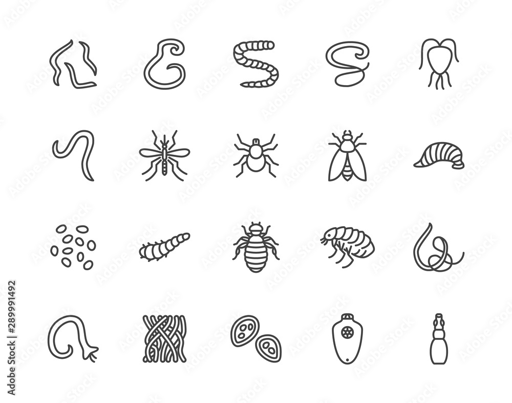 Parasites flat line icons set. Intestinal worm, helminth, sandfly, tick ...