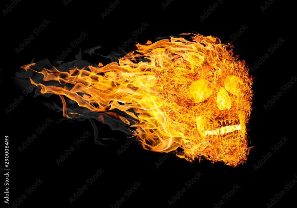 fire skull with tail in flame on black Stock Illustration | Adobe Stock