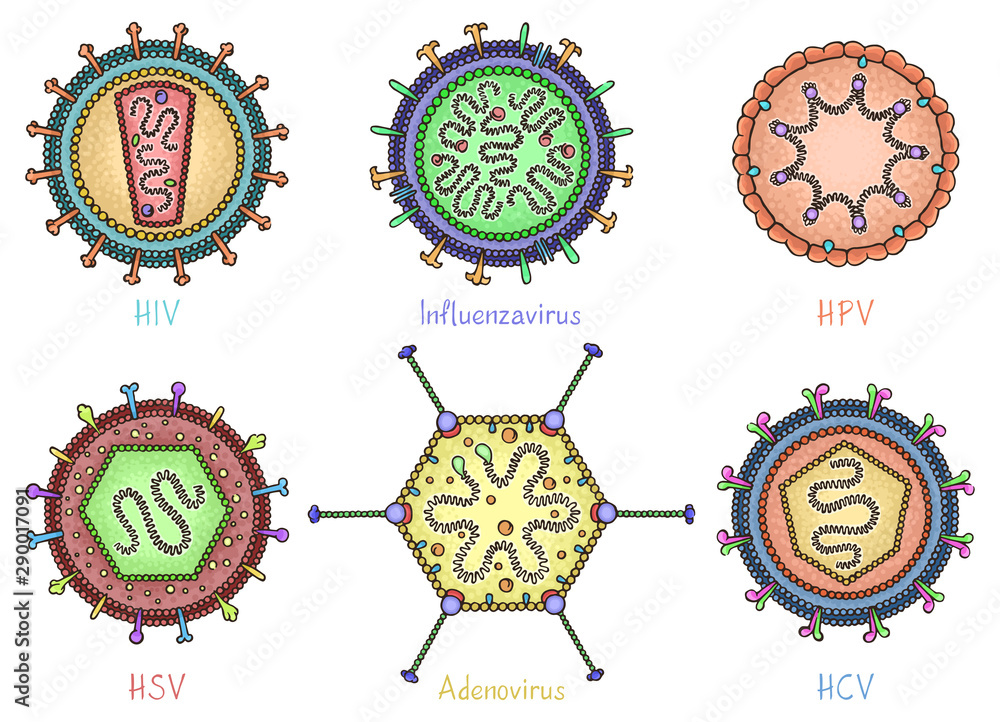 Vecteur Stock Set of different viruses in hand drawn style. Color diagrams showing the structure ...