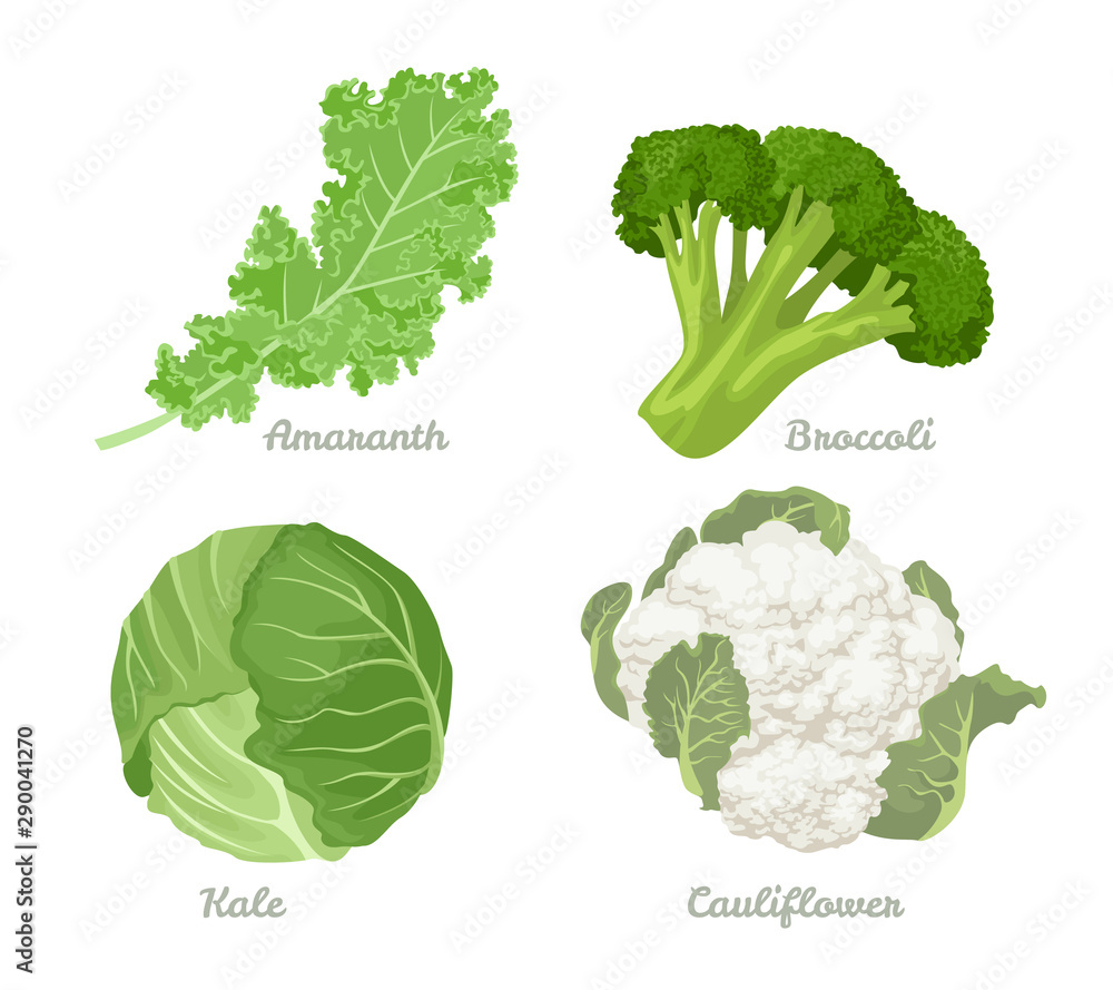 Kale Vector
