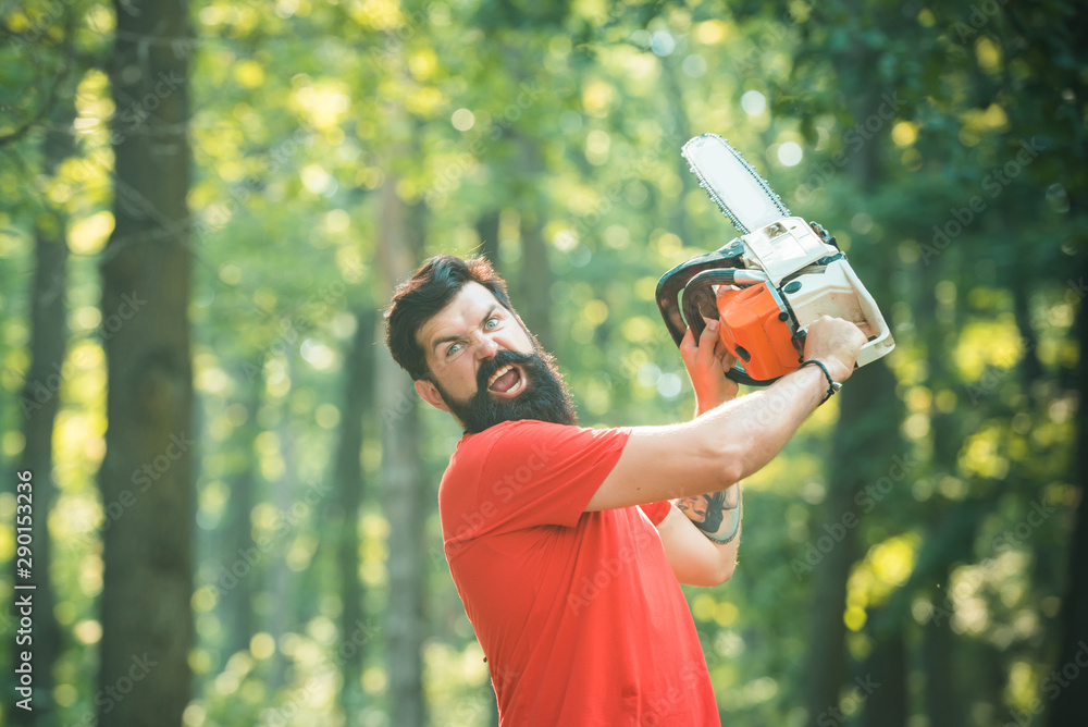 Lumberjack holding the chainsaw. Deforestation is a major cause of land ...