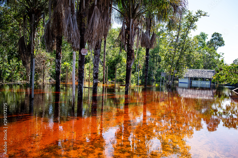 Caño Vitina en Puerto Inirida Guania, fuentes de agua ricas en metal ...