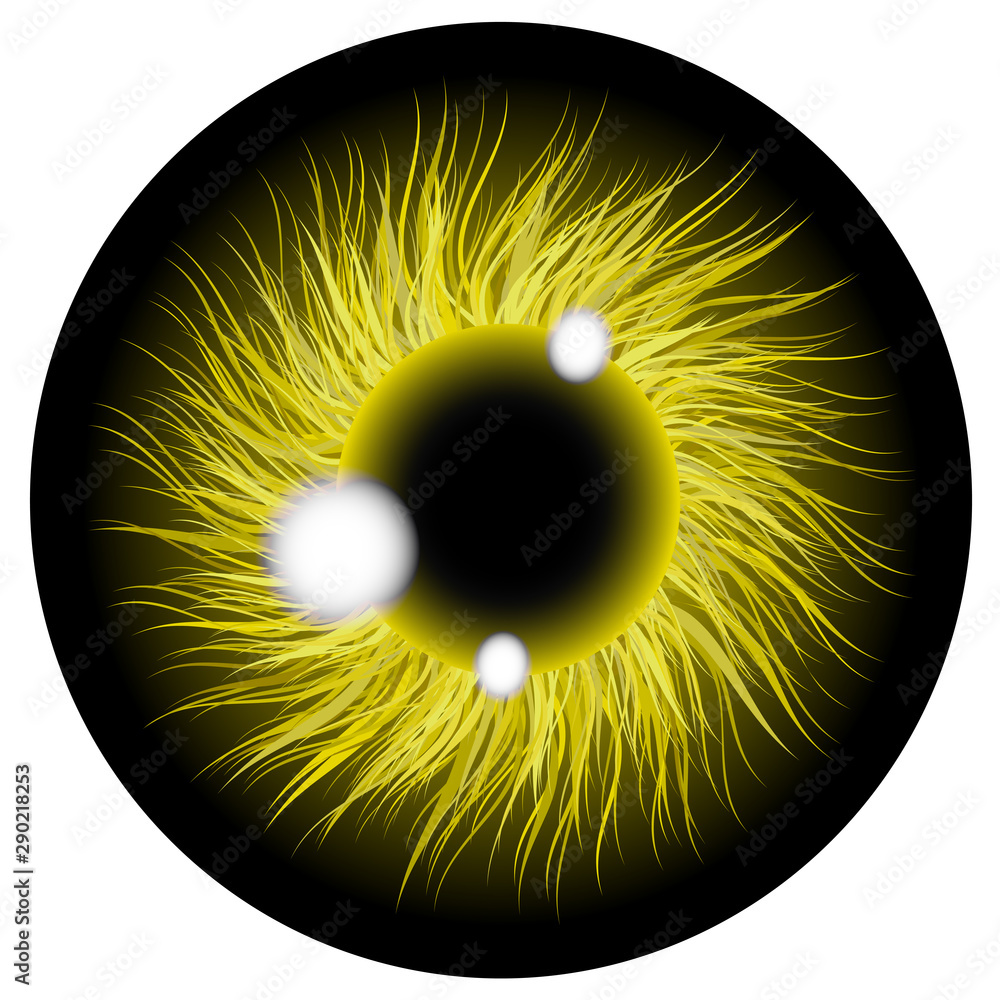 Yellow Eyes illustration Contact Lens. isolated on transparent ...