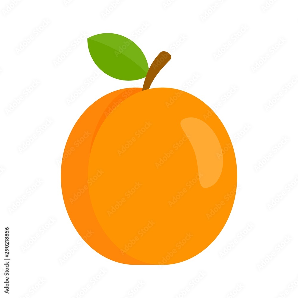 Fresh eco apricot icon. Flat illustration of fresh eco apricot vector ...