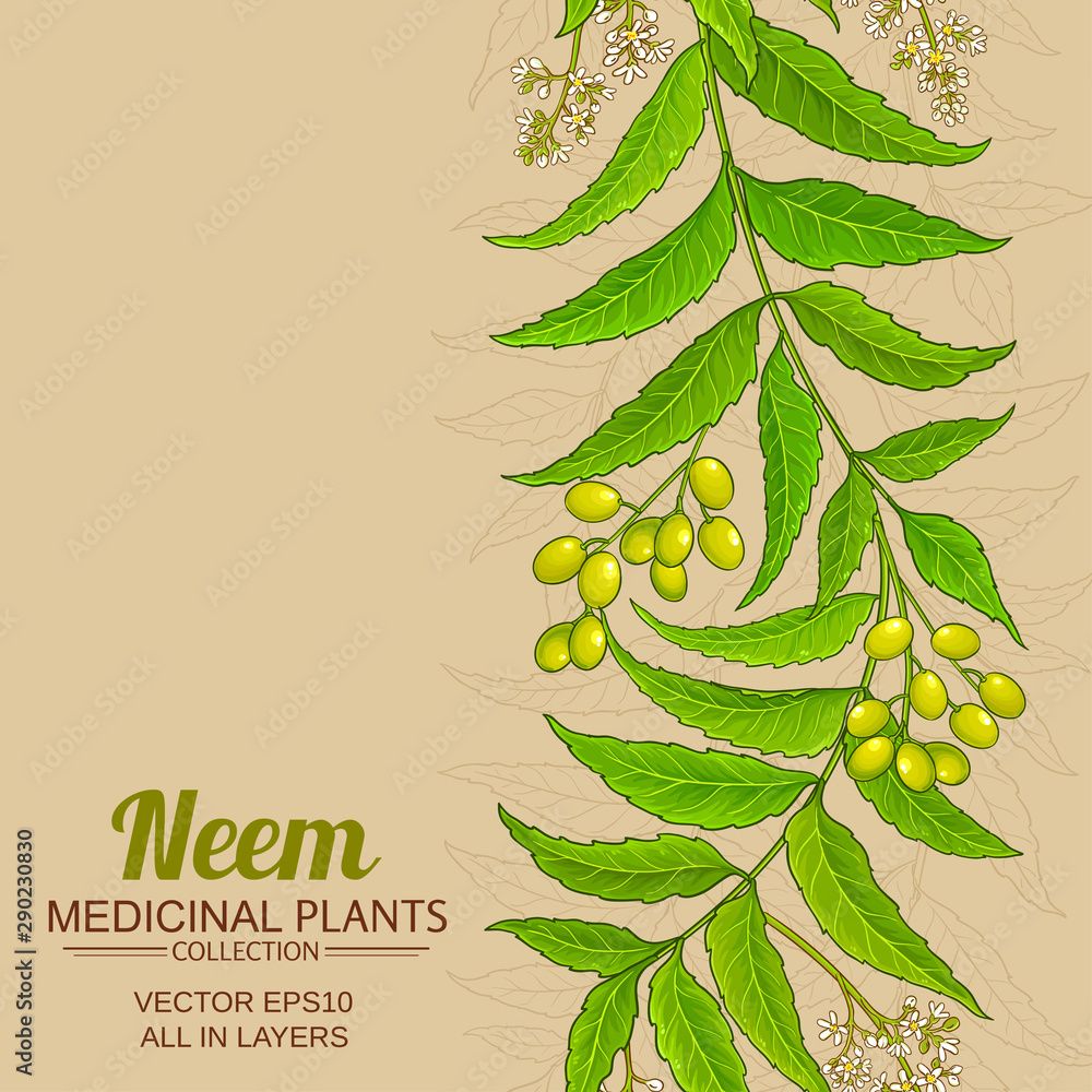 neem vector background Stock Vector | Adobe Stock