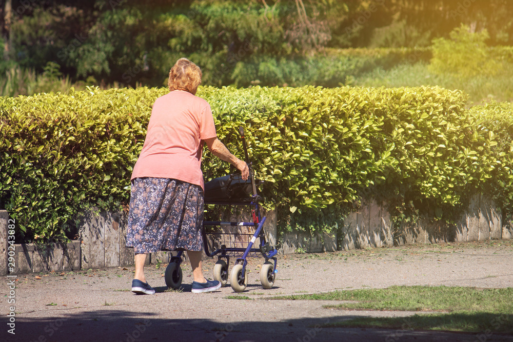 old lady with a walking disability, senior adult woman pushing a frame ...