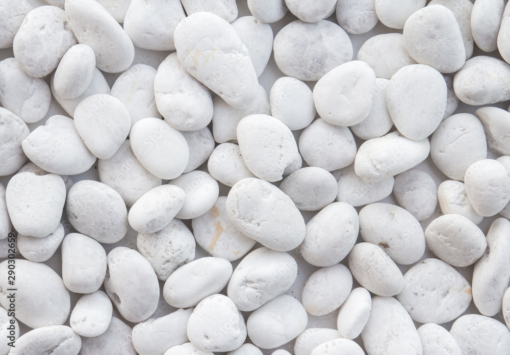 Seamless White Pebble Texture Seamless White Pebble Texture