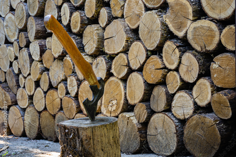 Ax sticks out of stump for splitting firewood. Selective focus. Ax on ...