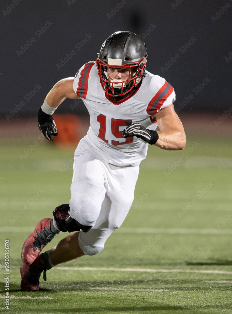 Great action photos of football players making amazing plays during a ...