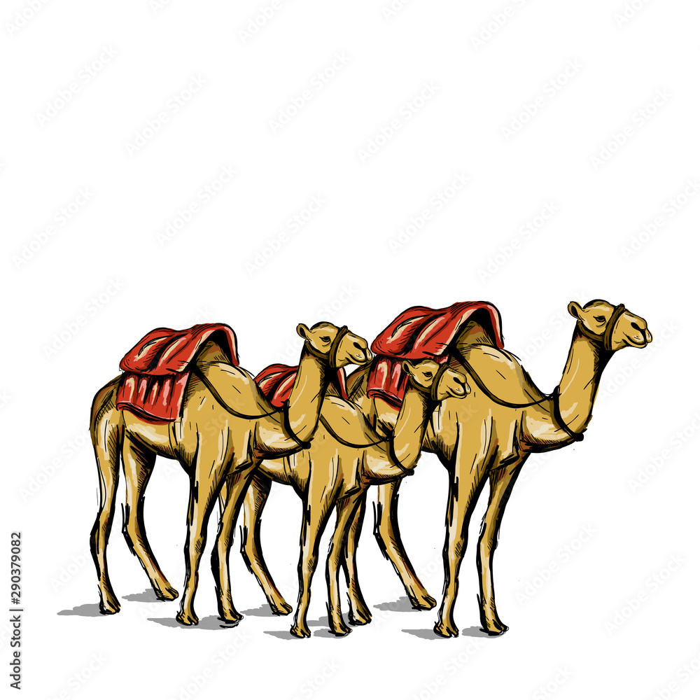 Hand drawn camel sketch drawing with watercolor hand drawn style vector ...