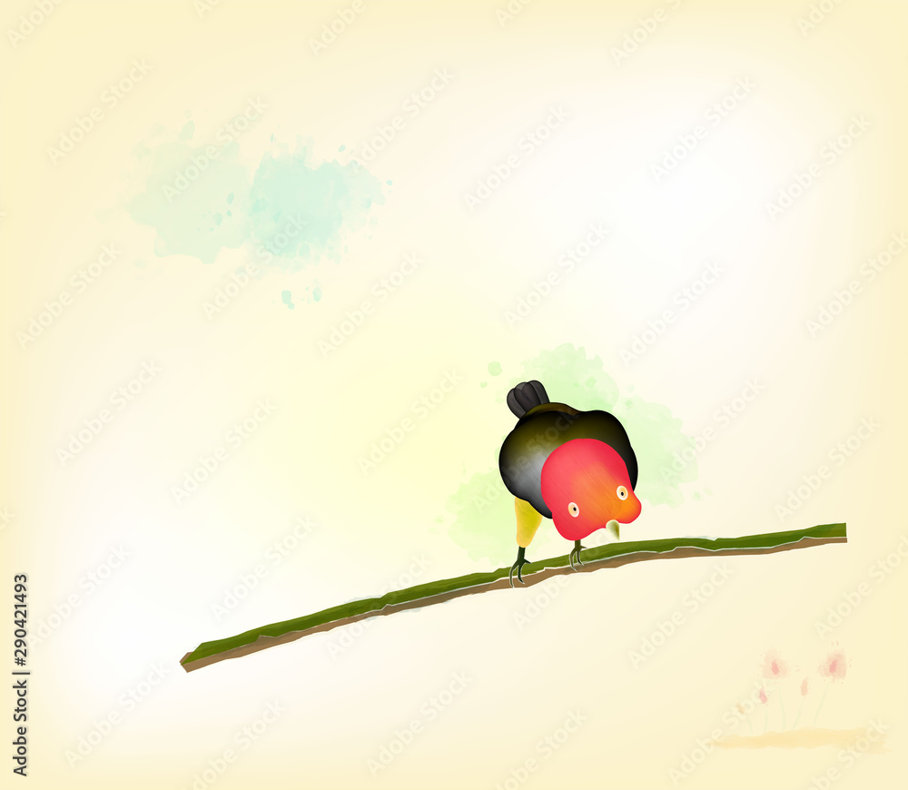 Red-capped manakin male dancing on branch, The bird is probably best ...