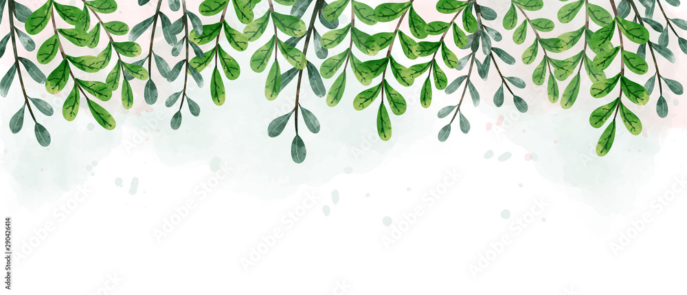 Watercolor drawing of green hanging leaves. Look beautiful and ...