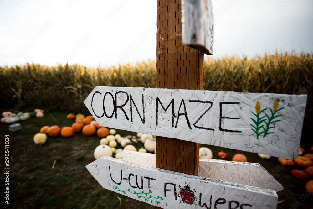 Corn Maze sign Stock Photo | Adobe Stock