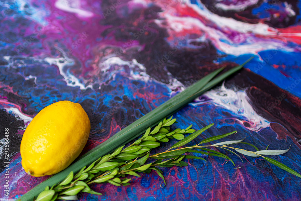 Symbols of jewish fall festival of Sukkot, lulav - etrog, palm branch ...