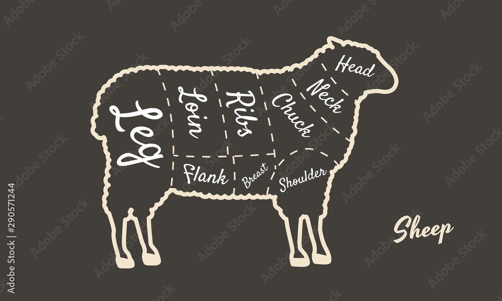 Meat diagram. Cuts of sheep. Sheep silhouette isolated on brown ...