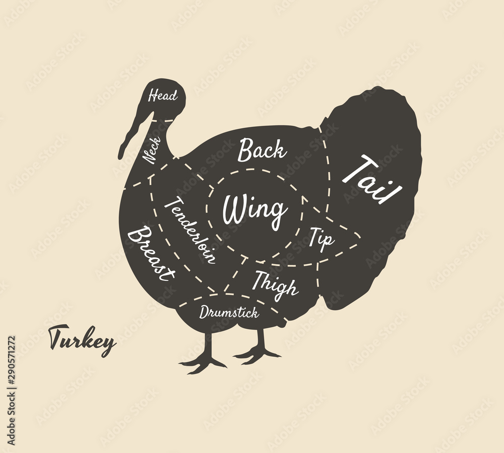 Meat diagram. Cuts of meat. Turkey silhouette isolated on white ...