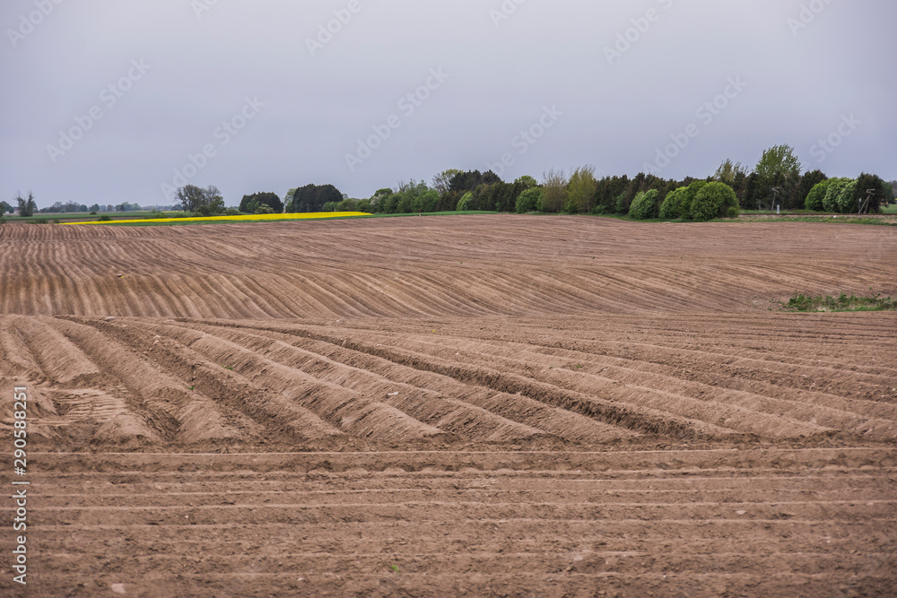 Field unearthed in autumn with furrows arable land even patterns in ...