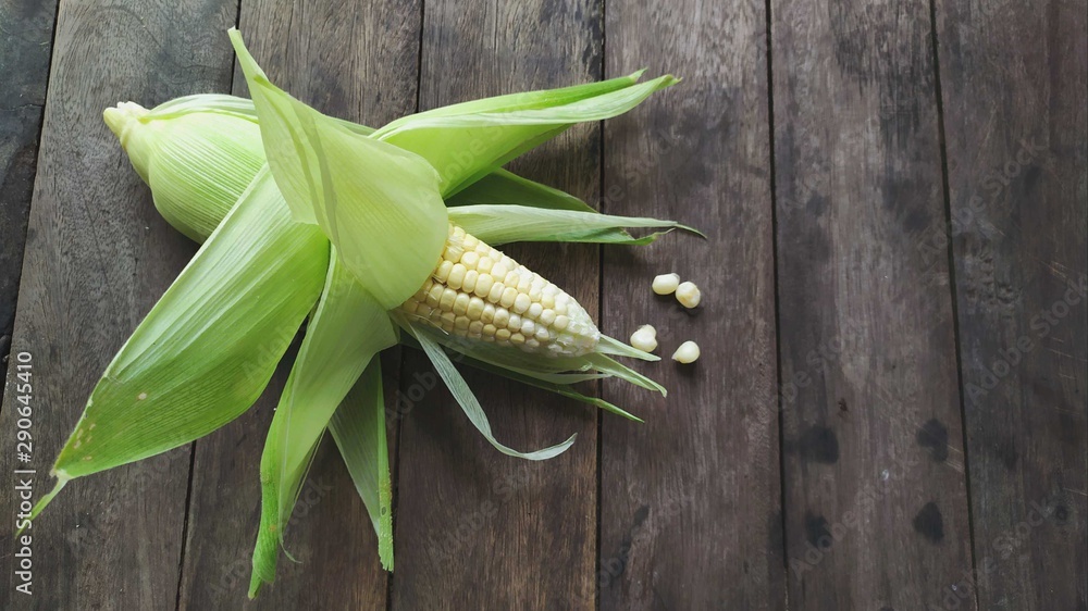 Corn Background Design