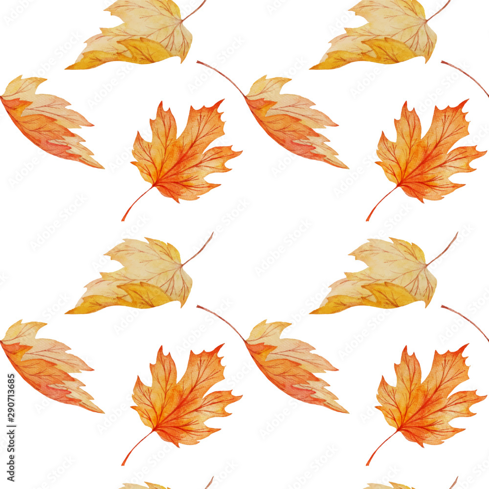 watercolor seamless pattern of maple leaves isolated on white ...