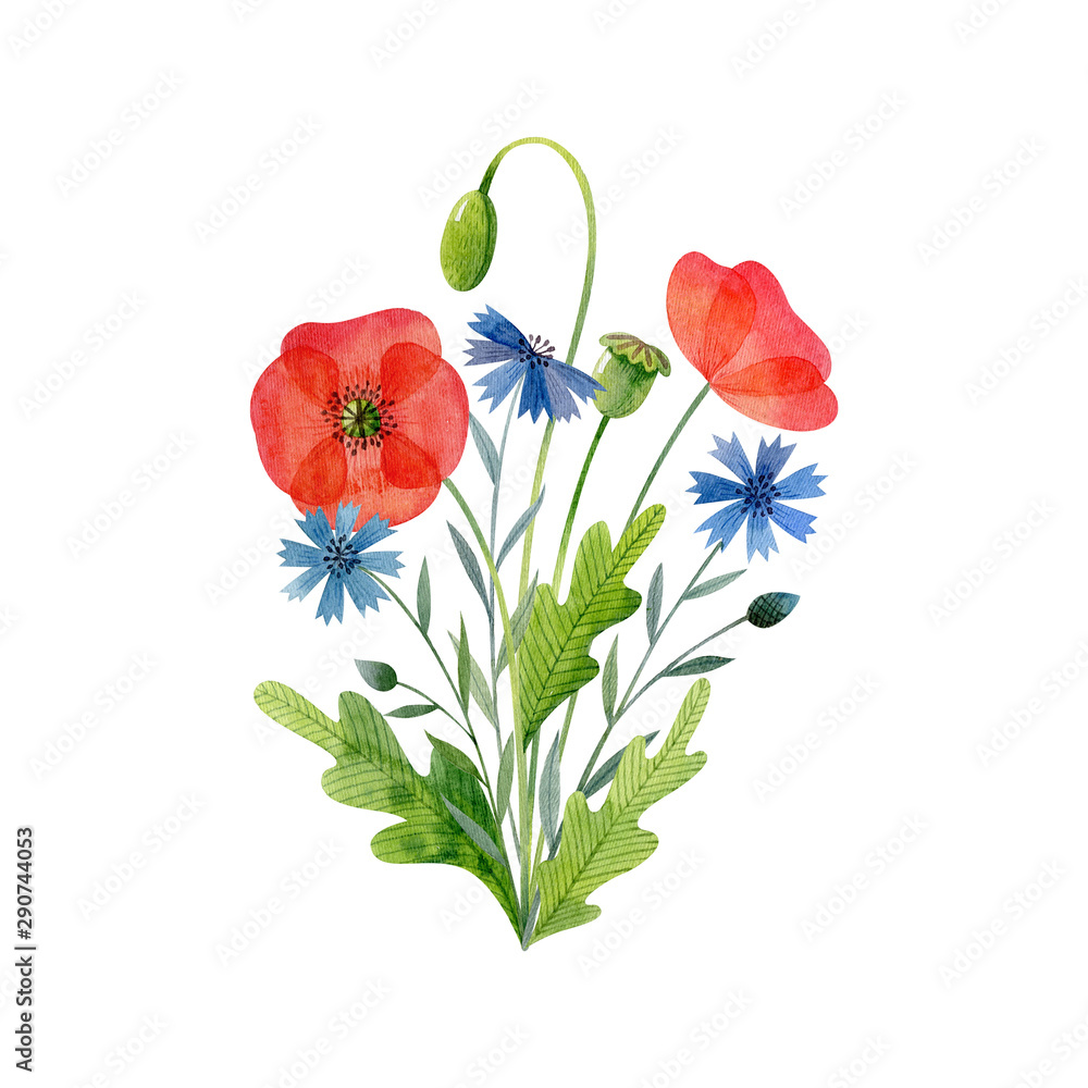 Watercolor bouquet of meadow flowers isolated on white background ...