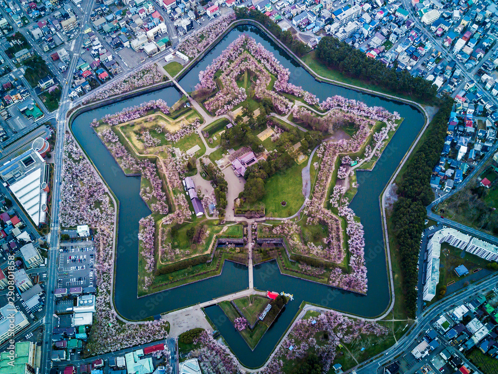Arial Top view of Fort Goryokaku with cherry blossom, Build for protect ...