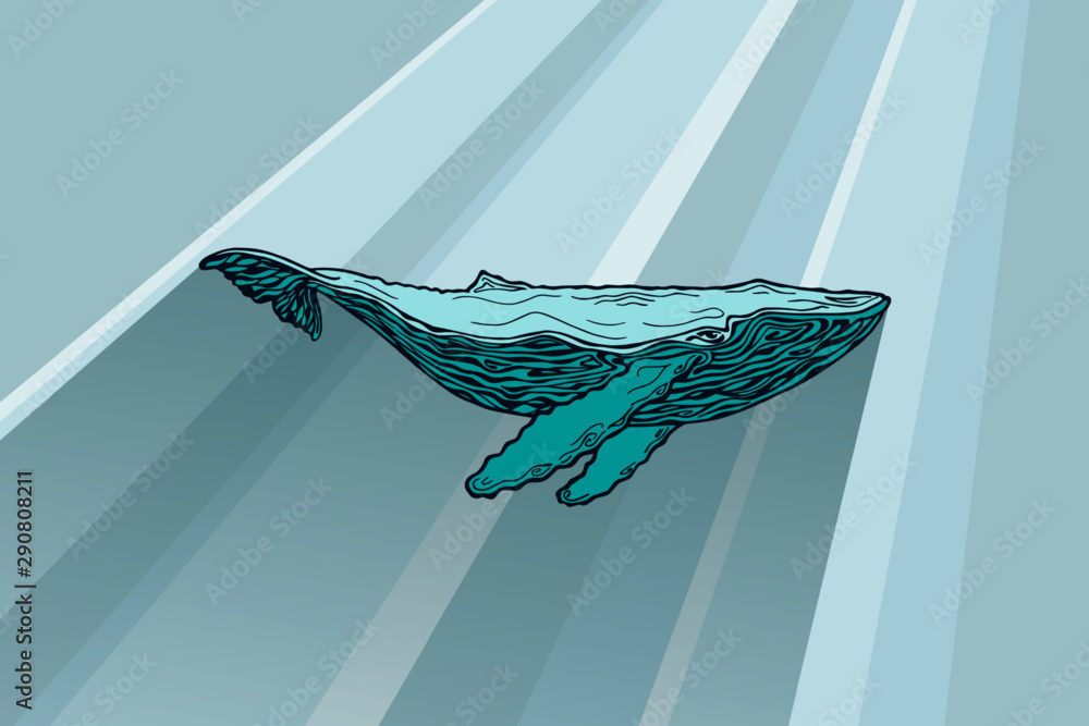 Vector silhouette of whale under water. Side view, sun rays fall on a ...