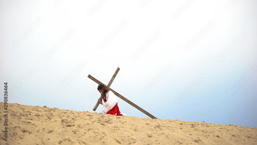 Jesus falling under heavy wooden cross, suffering pain and exhaustion ...
