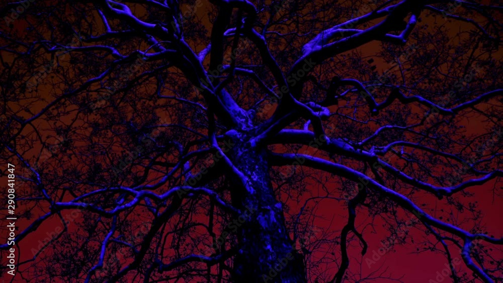 Creepy haunted tree on red sky moving and stopping Halloween background ...