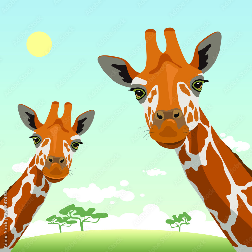Two Giraffes Cartoon