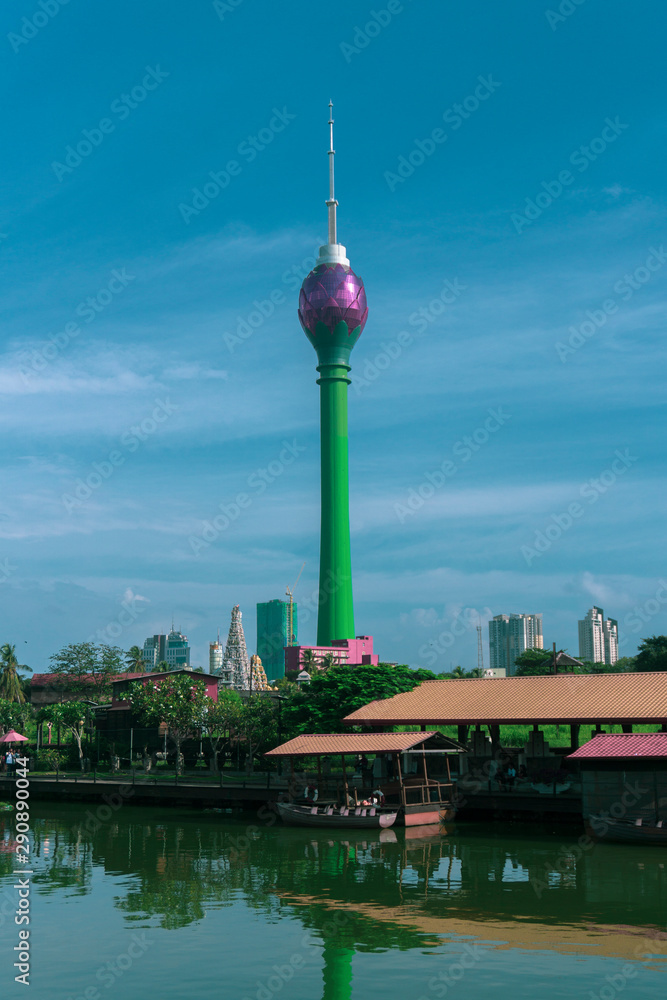 nelum kuluna in sri lanka Stock Photo | Adobe Stock