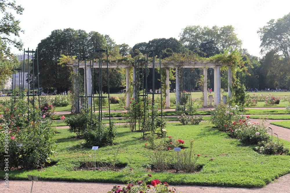 Jardin des roses - Roseraie Parc de la Tête d'Or à Lyon - France foto ...