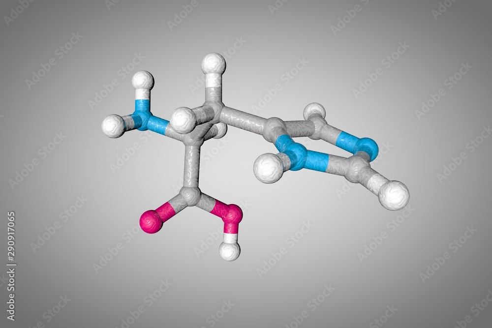 Molecular structure of l-histidine or histidine. Atoms are represented ...