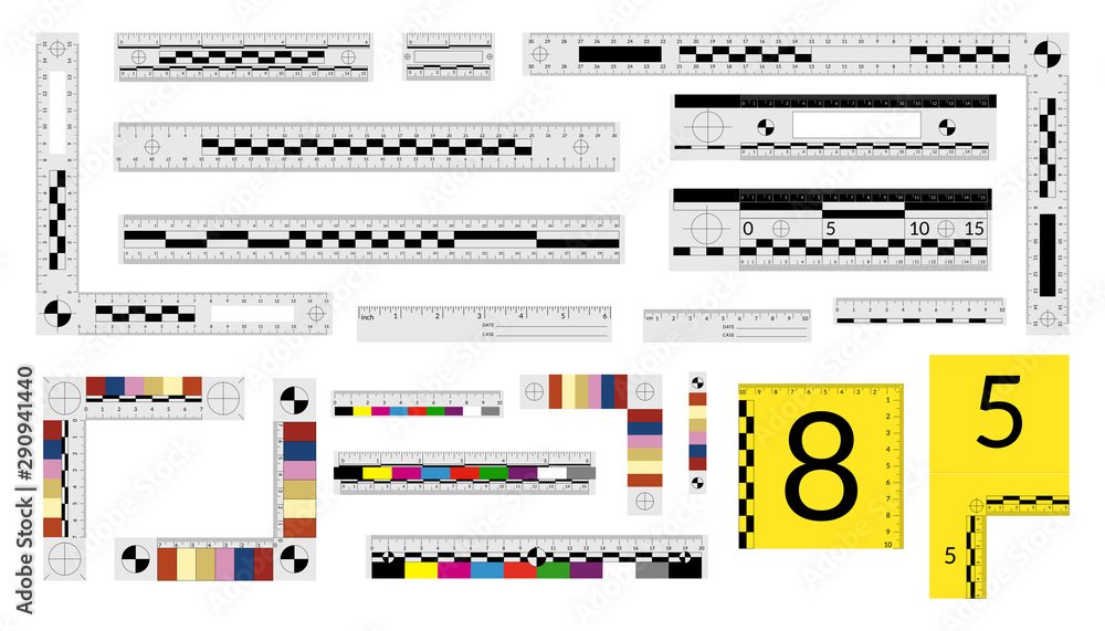 Set of forensic rulers for police detectives to measure crime evidence ...