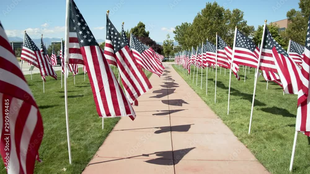 Path leading through American Flags as they wave in the wind passing ...